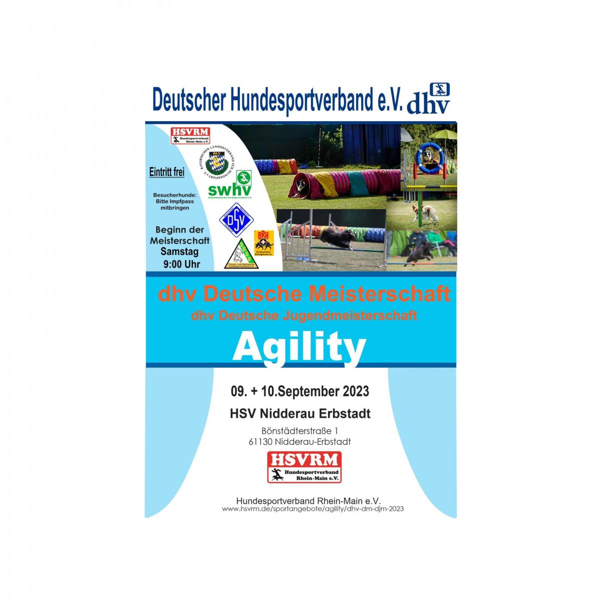 Flying Buddies - Schipperke Zuchtstätte - Blog: Neuigkeiten von Buddy