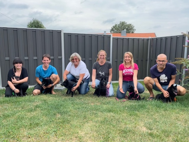 Flying Buddies - Schipperke Zuchtstätte - Blog: A-Wurf-Treffen